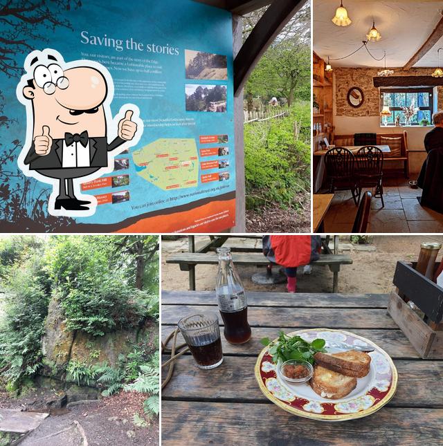 Café The Wizard Tearoom, Over Alderley - Opiniones del restaurante