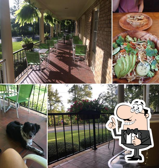 Freshroots Kitchen, Tallahassee - Restaurant menu, prices and reviews