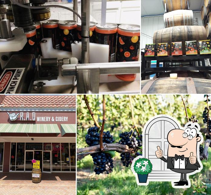 Top 7 pubs & bars in Estero, march 2025 - Restaurant Guru