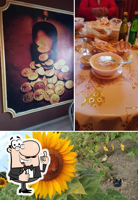 Gold coin restaurant, Tarusino - Restaurant reviews