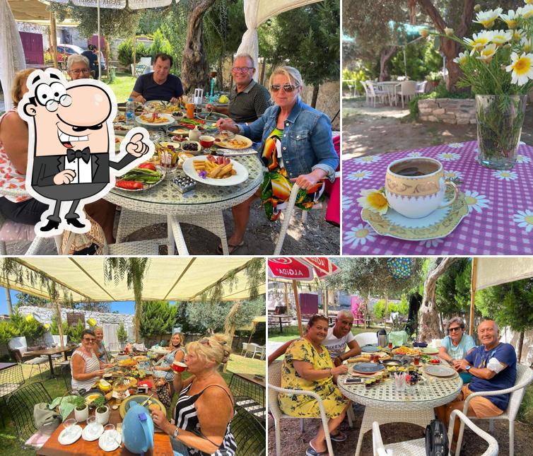 Taş Ev Cafe & Bistro, Didim - Restaurant reviews