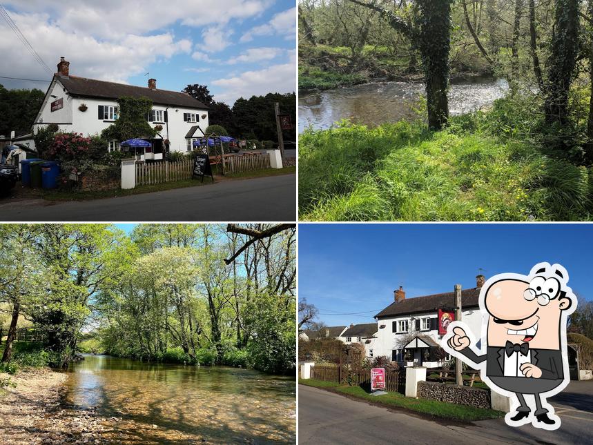 The Otter Inn in Honiton - Restaurant reviews