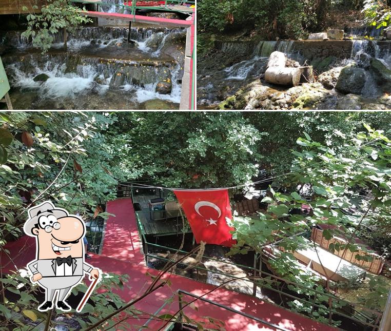 Selale Restaurant, Turkey, D:No:30 - Restaurant menu and reviews