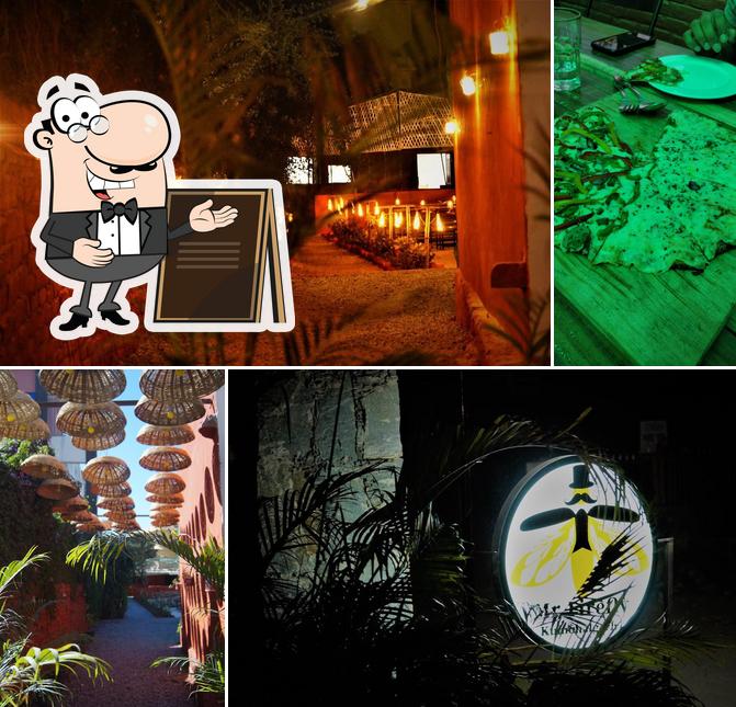 Mr FireFly - The Garden Restaurant, Beer Ki Bhagal - Restaurant menu ...