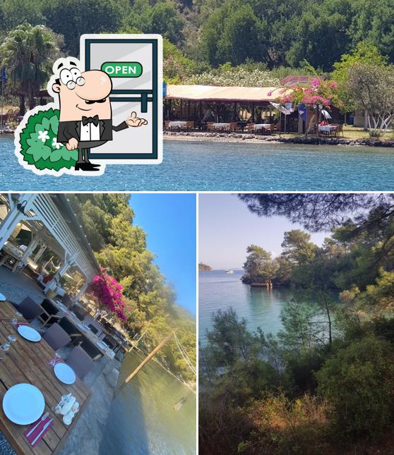 ONNO Grill & Bar, Турция - Restaurant menu and reviews