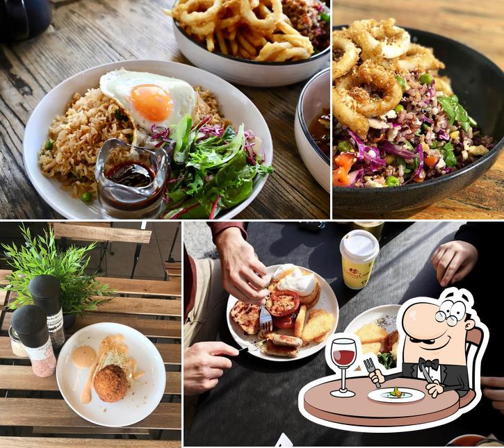 Surfing Lizard - Coogee in Coogee - Restaurant menu and reviews