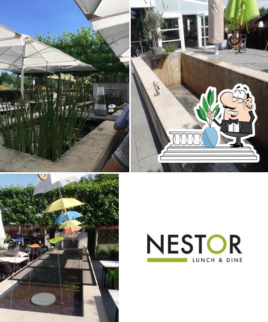 Restaurant Nestor, Lubbeek - Restaurant menu, prices and reviews