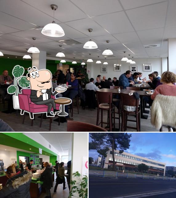 TASTE AND GO, Pessac - Menu du restaurant, prix et avis