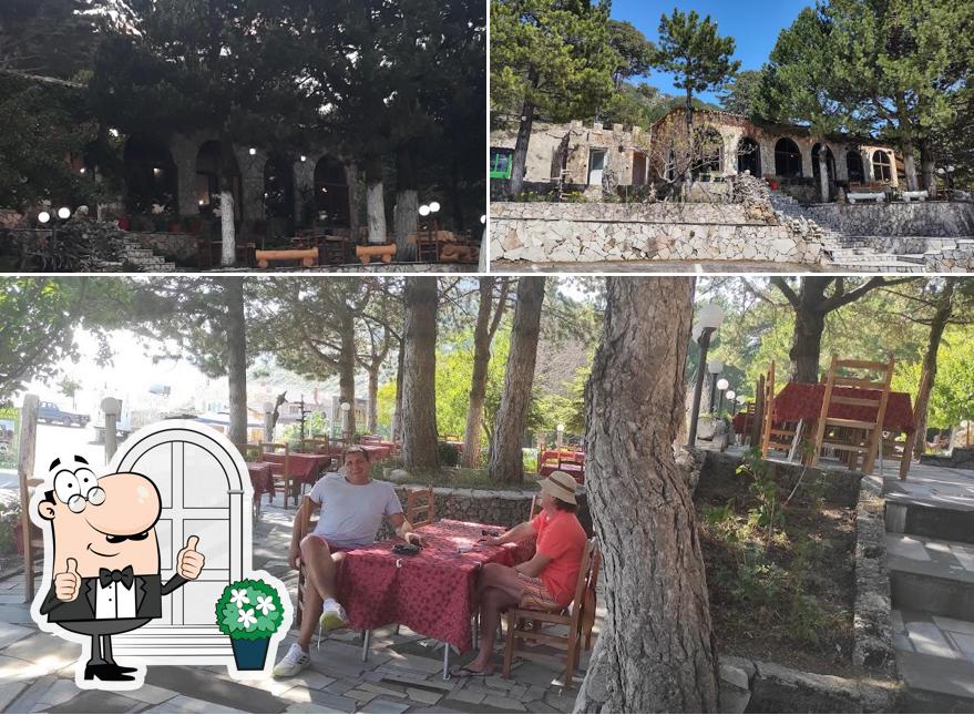 Restaurant Apollonia , llogora, Albanie - Restaurant reviews