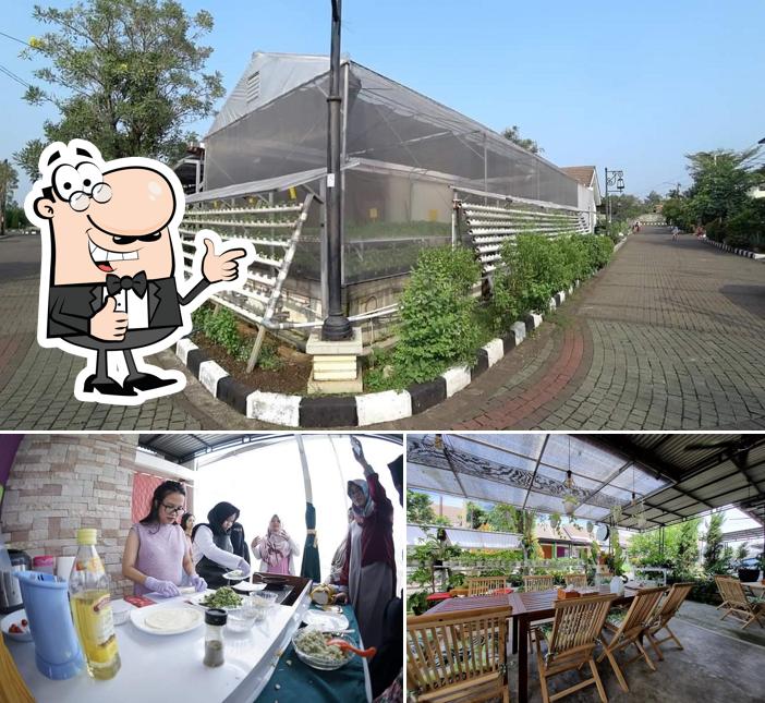 Ijoijoan Kitchen - Salad Grill Avocado, Bogor - Restaurant menu, prices ...