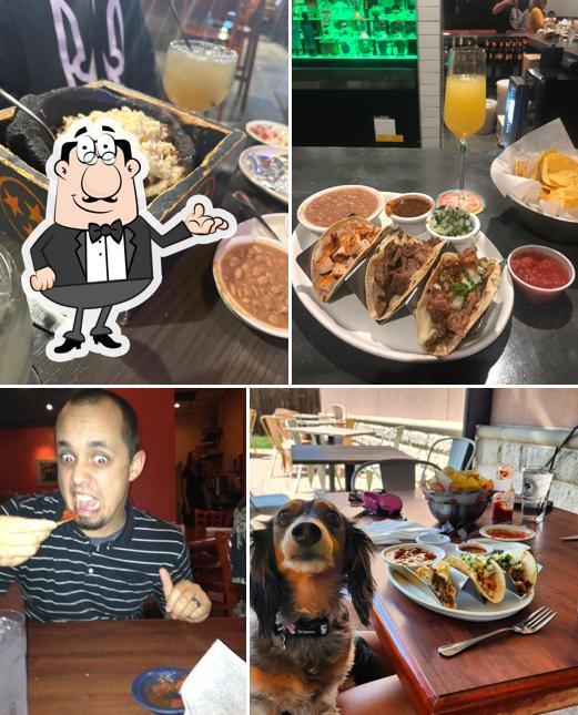 Don Gallo Mexican Grill, 10681 Hardin Valley Rd in Knoxville ...