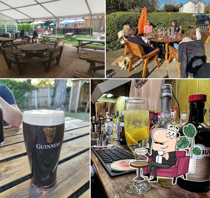The Olive Tree, Guildford - Restaurant menu, prices and reviews