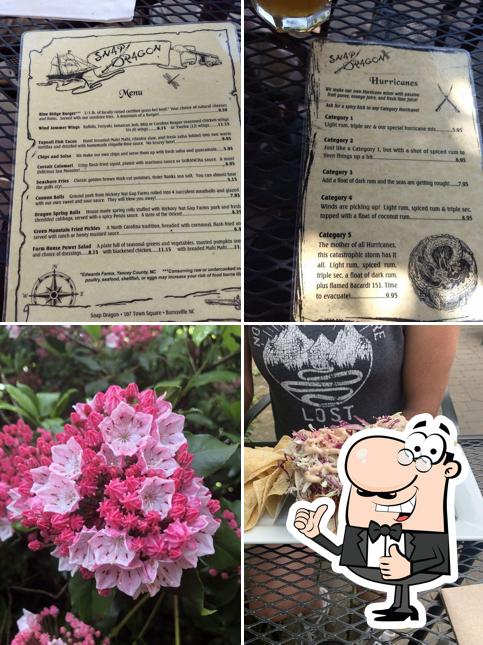Snap Dragon in Burnsville - Restaurant menu and reviews