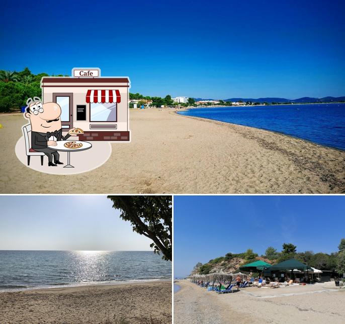 Pefko Beach Bar, Psakoudia - Restaurant reviews
