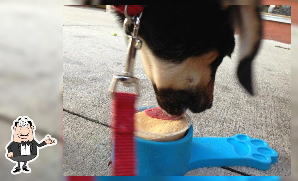 Fido To Go Dog Food Truck, Chicago - Restaurant menu, prices and reviews