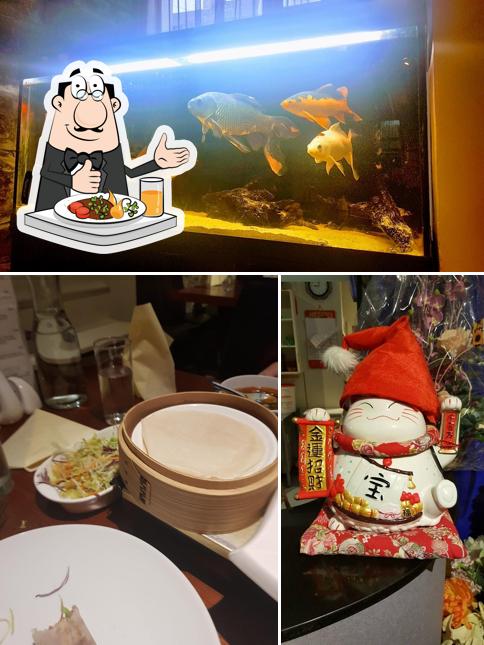 New Eden Chinese Restaurant, Kanturk - Restaurant menu, prices and reviews
