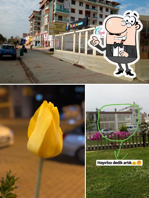 Papatya Cafe, Gazipaşa - Restaurant reviews
