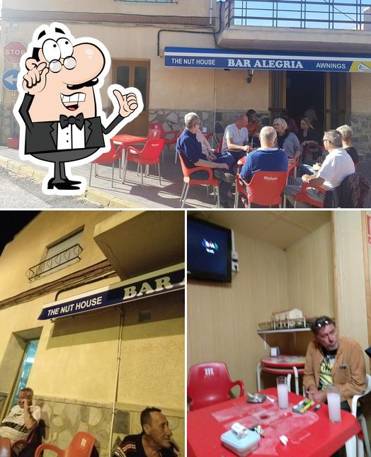 Bar Alegria (The Nut House) in San Miguel de Salinas - Restaurant reviews