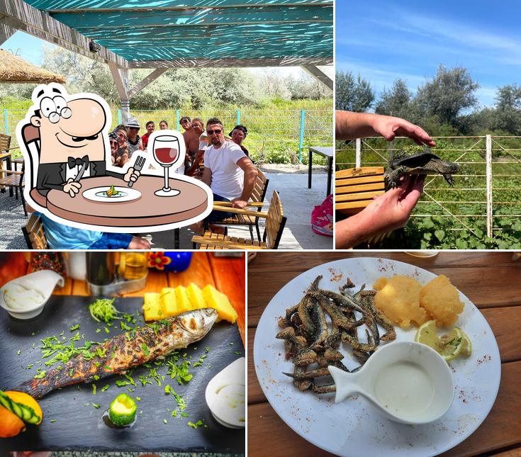 La Calcanu' Balan, Sulina - Restaurant menu, prices and reviews