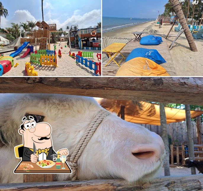 Mango Beach pub & bar, Vietnam - Restaurant reviews