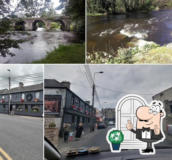 Fallons Bar & Cafe, Kilcullen - Restaurant menu, prices and reviews