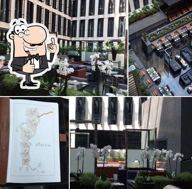 The Atrium, Park Lane, London in London - Restaurant reviews