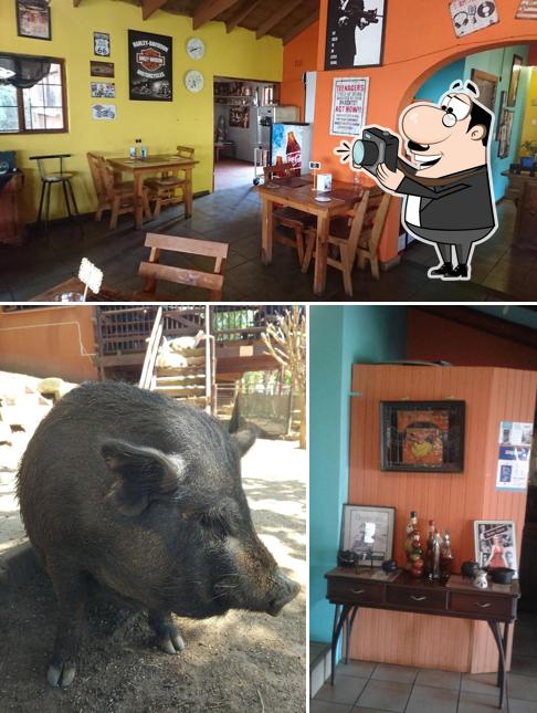 Linga Longa, Outer West Durban - Restaurant menu, prices and reviews