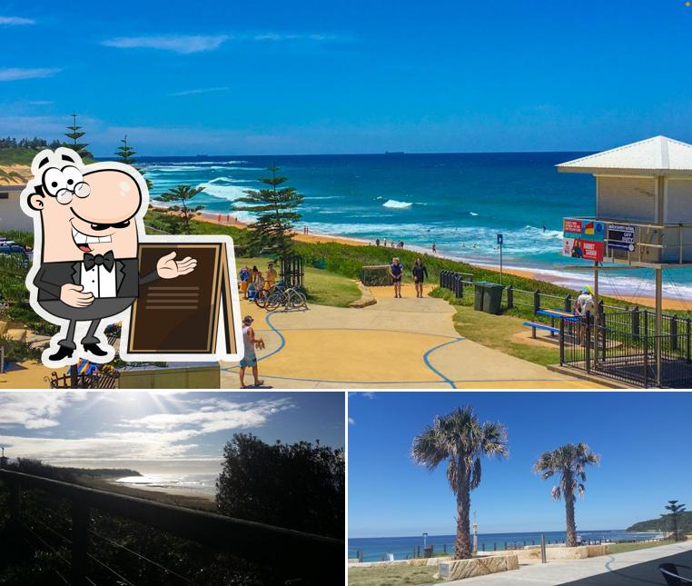 Shelly Beach Surf Club in Shelly Beach - Restaurant menu and reviews