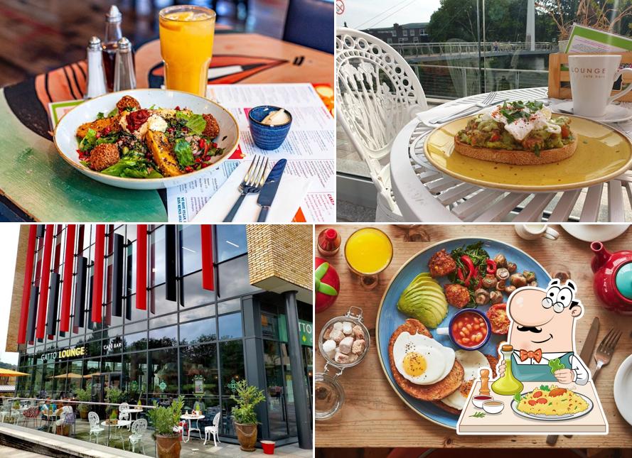 Gatto Lounge, Pontypridd - Restaurant menu, prices and reviews