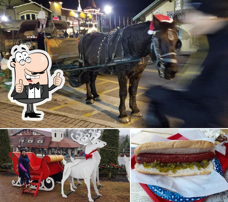 Alpine Hot Dog & Grill Burger, Helen - Restaurant menu, prices and reviews