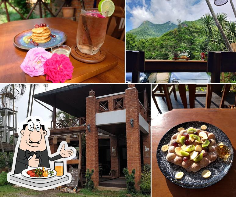 Ashi Cafe, Chiang Dao - Restaurant reviews
