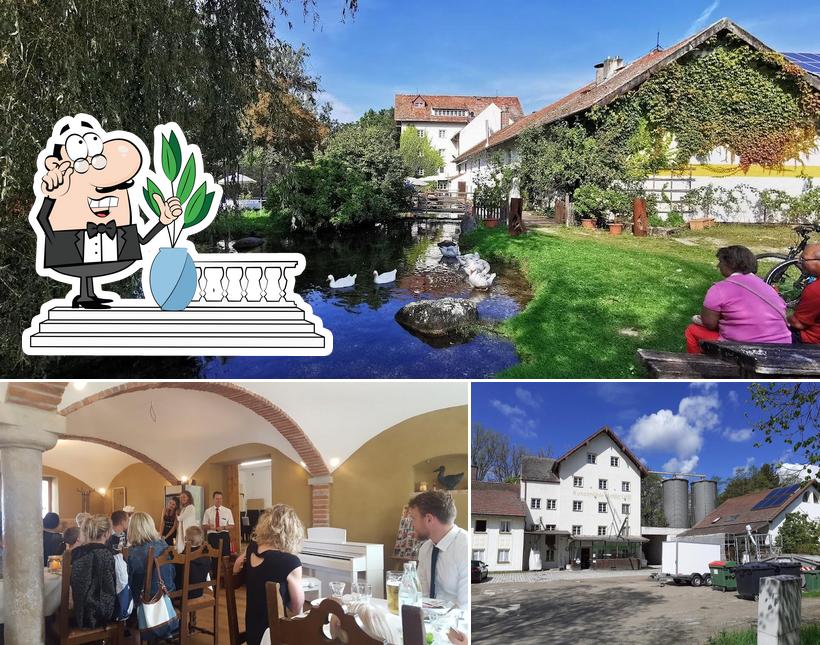 Wolfsmühle cafe with farm shop, Forstinning - Restaurant reviews