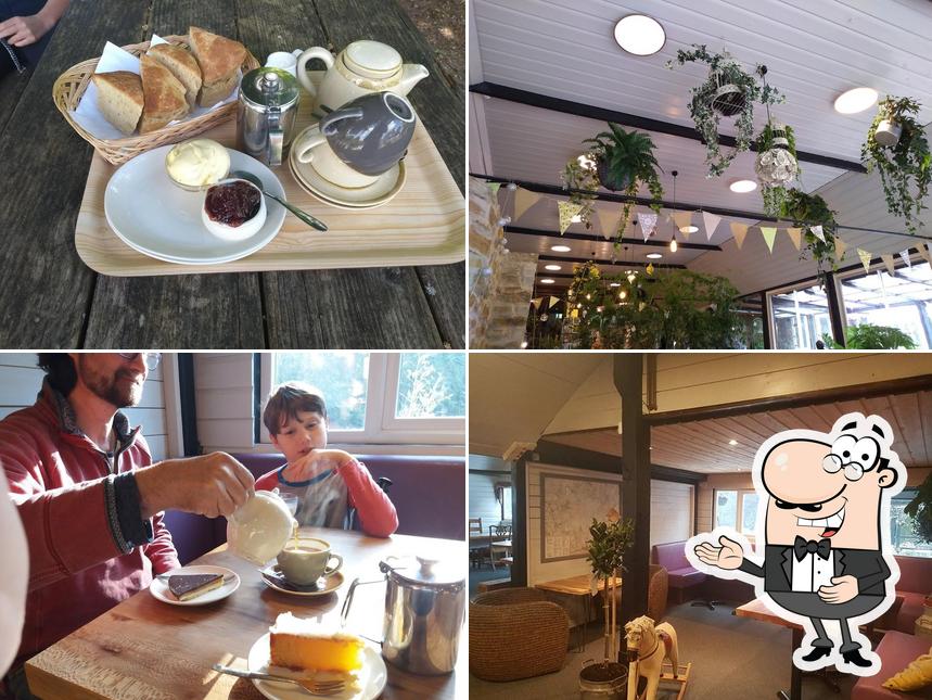 Badgers Holt Tea Rooms and Cafe, Dartmoor Forest - Restaurant menu ...