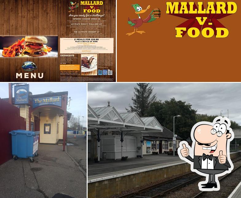 The Mallard in Dingwall - Restaurant reviews