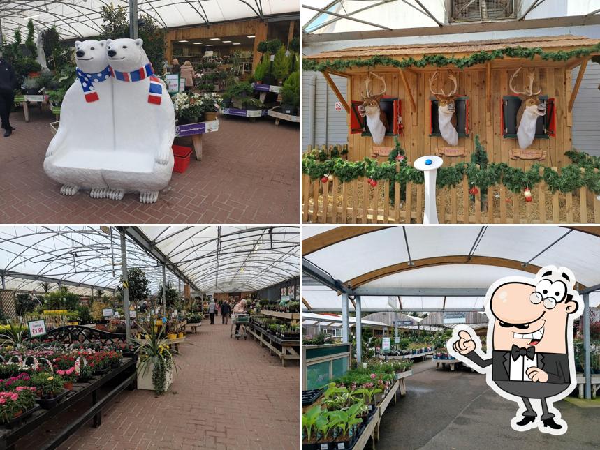 Brigg Garden Centre, Brigg - Restaurant menu, prices and reviews