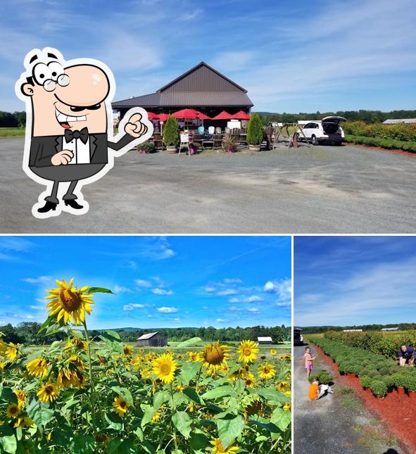 SimmersCreamy, Whately - Restaurant menu, prices and reviews