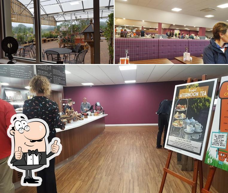 Topiary Coffee Shop, Edinburgh - Restaurant menu, prices and reviews