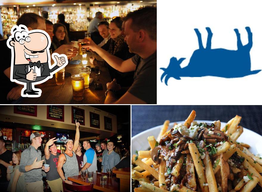 Group Project - The Fainting Goat in Menomonie
