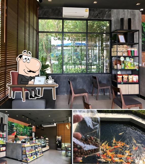 Café Amazon, Rayong - Restaurant menu, prices and reviews