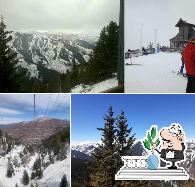 The Sundeck at Aspen Mountain in Aspen - Restaurant reviews