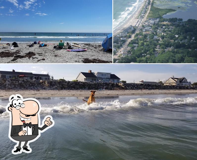 Summer Sessions Surf Shop in Rye - Restaurant menu and reviews