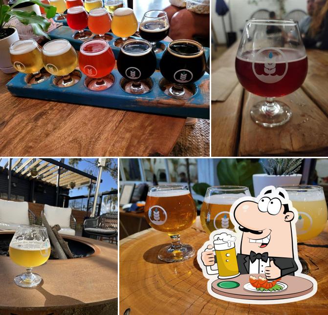 Pure Project North Park, San Diego - Restaurant menu, prices and reviews