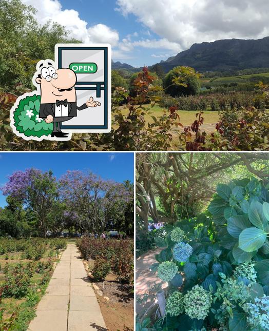 Chart Farm restaurant, Cape Town - Restaurant reviews