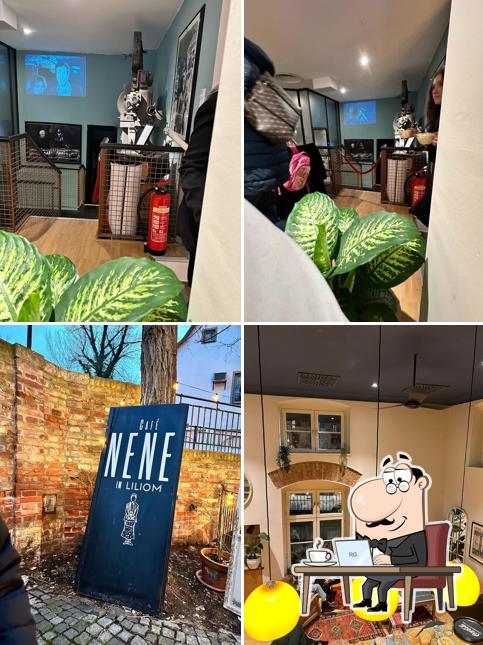 Café NENE, Augsburg - Speisekarte, Preise und Bewertungen