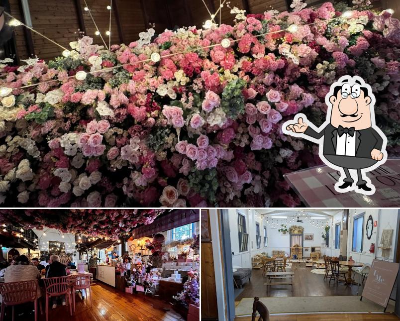 Harrow and Harvest Cafe, Lilydale - Restaurant menu, prices and reviews