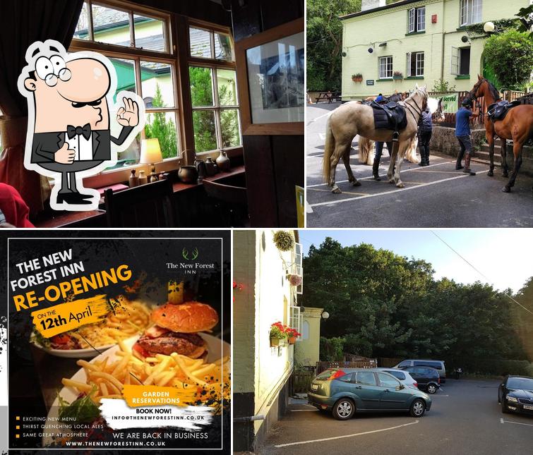 New Forest Inn Lyndhurst in Lyndhurst - Restaurant reviews