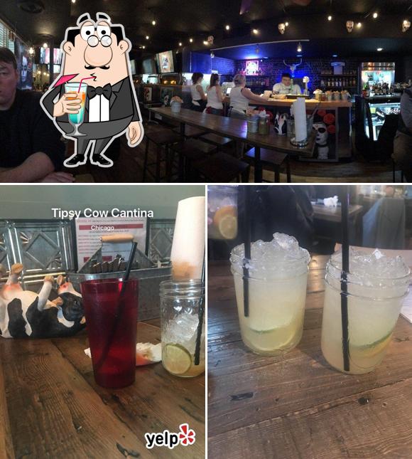 Tipsy Cow Cantina in Chicago - Restaurant reviews