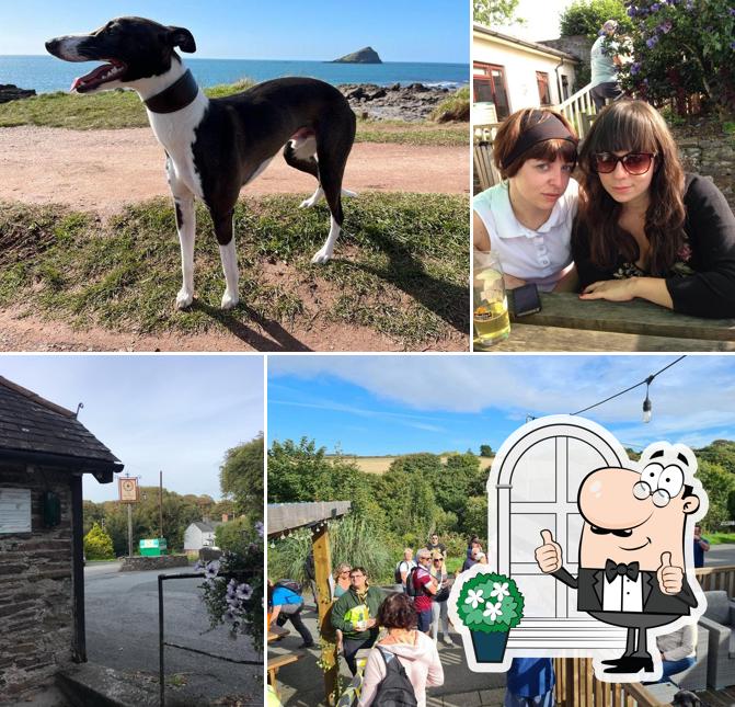 The Odd Wheel, Knighton Rd in Wembury - Restaurant menu and reviews