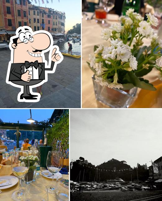 Ristorante Puny, Portofino - Restaurant menu and reviews
