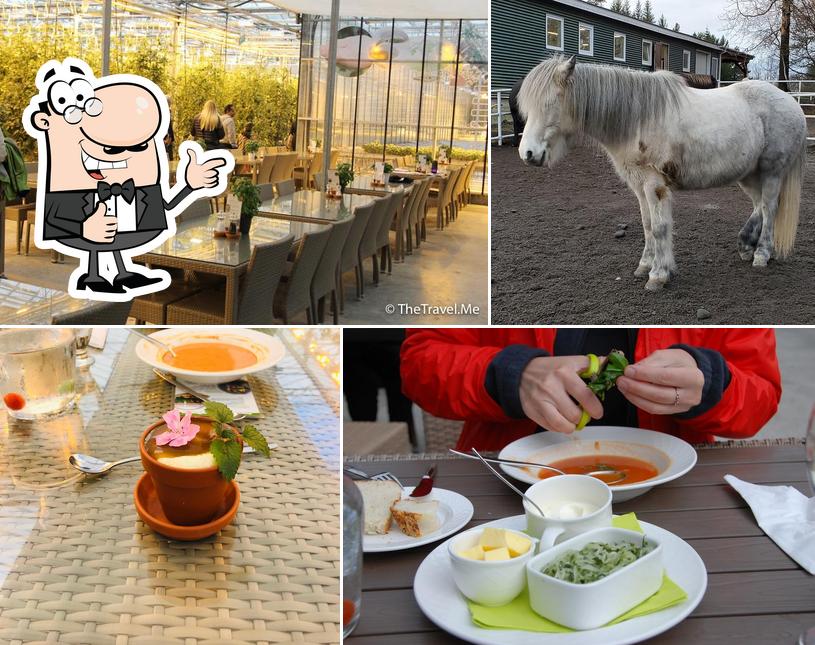 Friðheimar restaurant, Reykholt - Restaurant menu and reviews